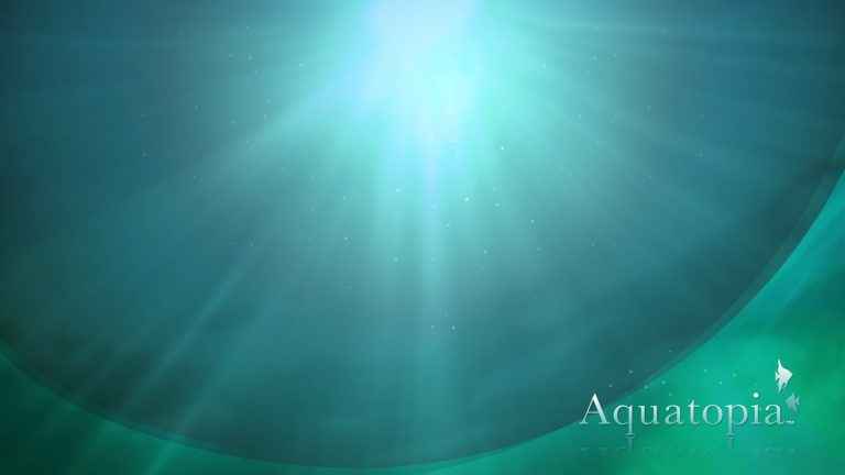 Aquatopia - PlayStation Universe