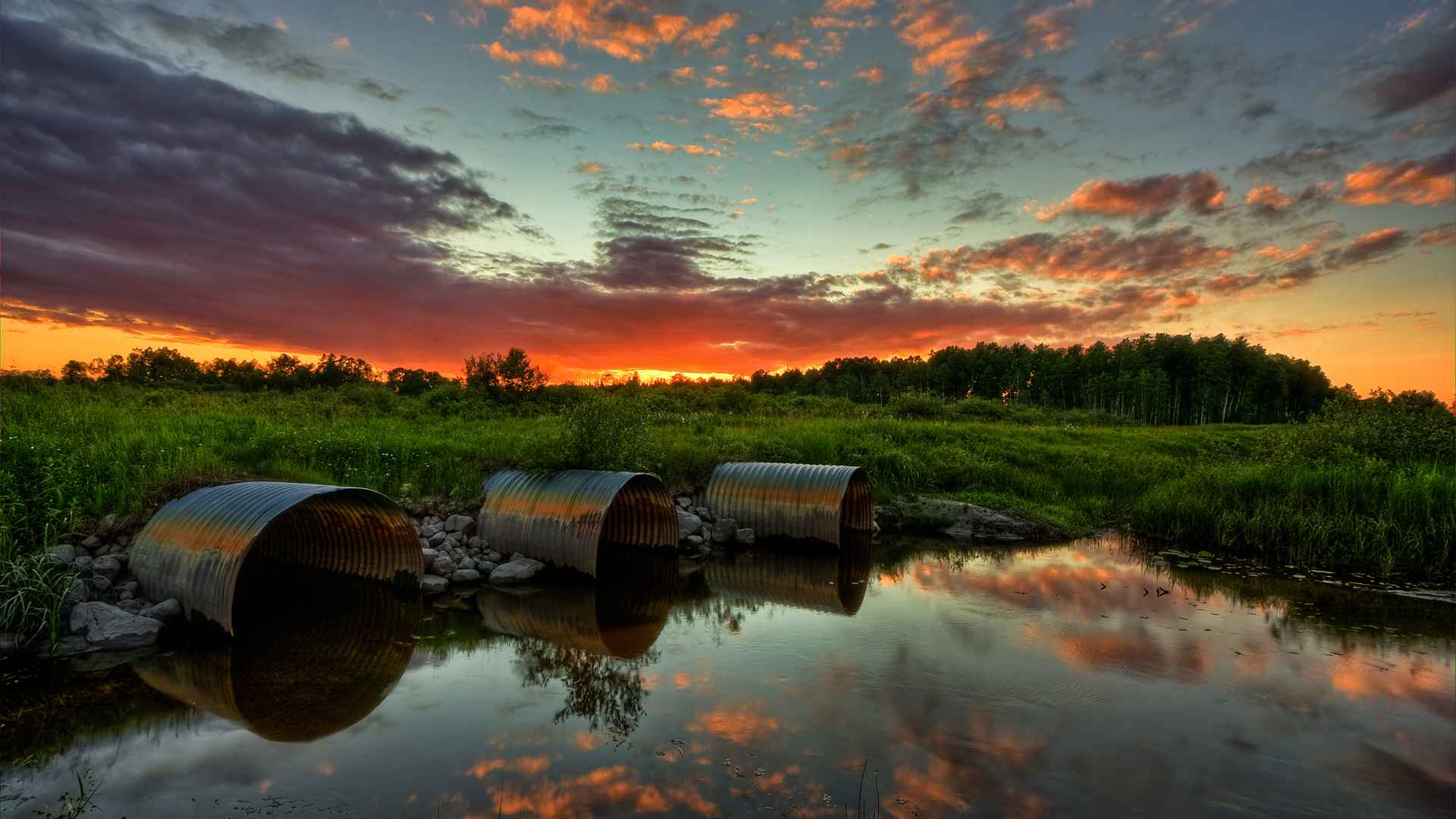 Stunning mix of Nature - PlayStation Universe