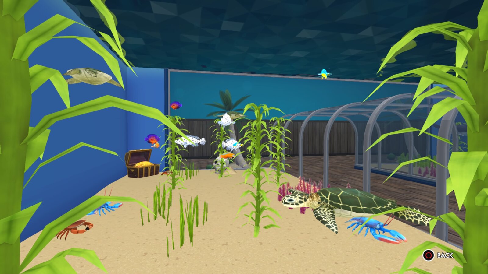 Megaquarium PS4 Release Date Announced - PlayStation Universe