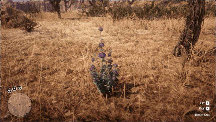 Guide: Where To Find Desert Sage In Red Dead Redemption 2 - PlayStation ...