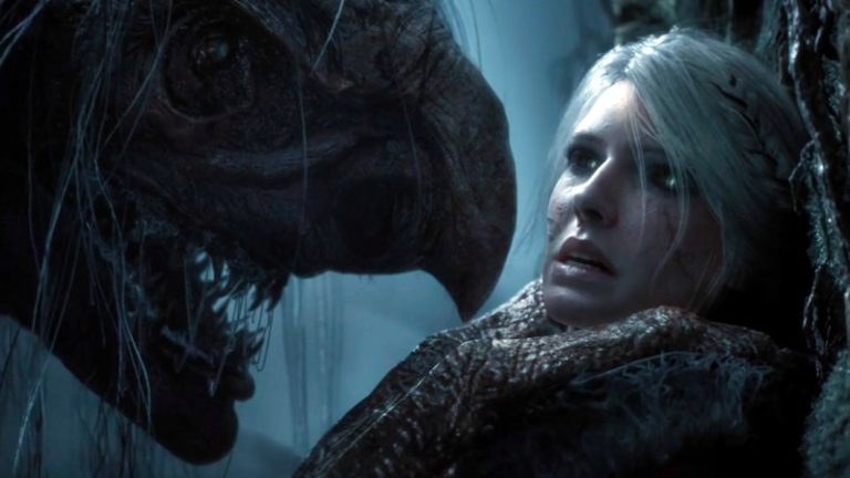 The Witcher IV To Feature ‘Completely New Regions’ And Creatures, One ...