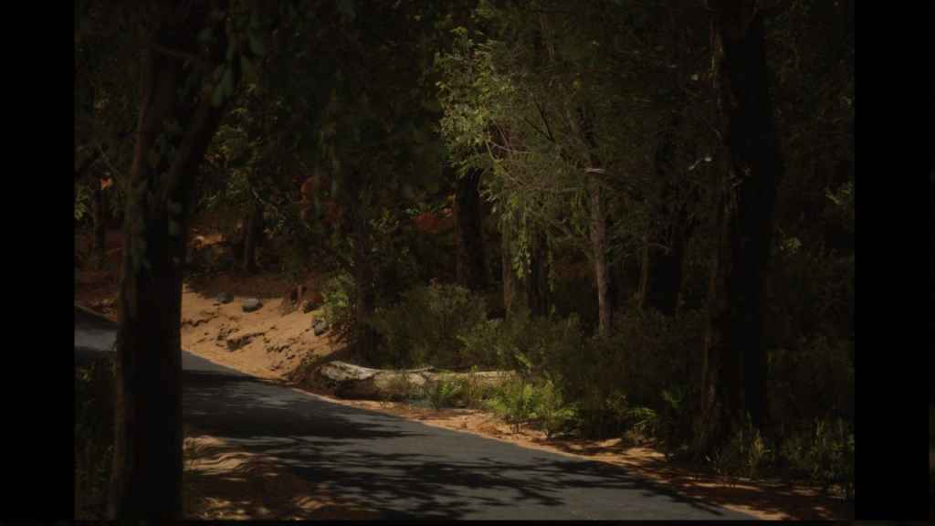 Lushfoil Photography Sim Review (PS5) — Taking It Slowly - PlayStation ...